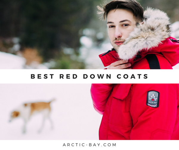 Best Red Down Coats - Arctic Bay